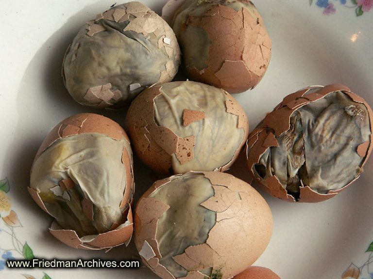 Chicken Fetii – The Friedman Archives – Stock Photo Images by Gary L ...