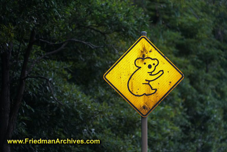 Koala Crossing Sign (Horizontal) – The Friedman Archives – Stock Photo ...