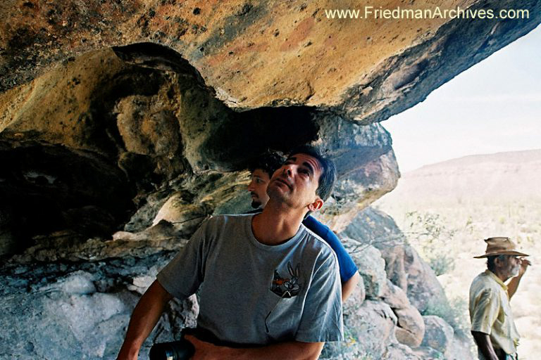 Reading Cave Paintings – The Friedman Archives – Stock Photo Images by ...